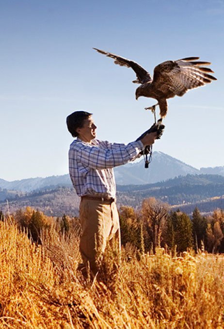 Birds of Prey - Balsam Mountain Preserve